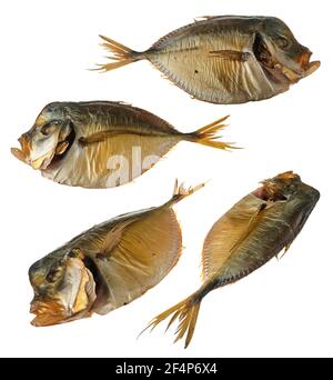 Smoked vomer fish, collage, on white background isolated Stock Photo ...