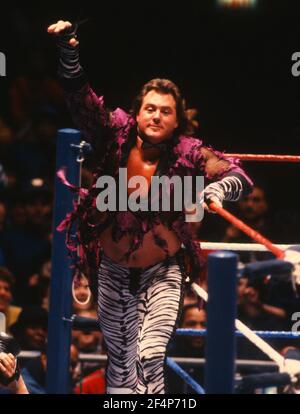 1989 Brutus Beefcake Photo by John Barrett/PHOTOlink Stock Photo - Alamy