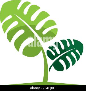 Taro leaves icon logo creative illustration Stock Vector Image & Art ...