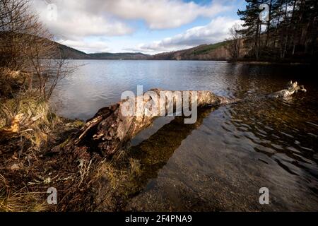 Loch Achilty in the Scottish Highlands Stock Photo - Alamy