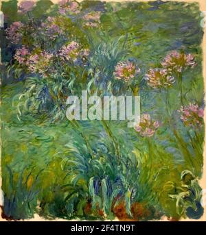 Claude Monet (1840-1926). Agapanthus Stock Photo - Alamy