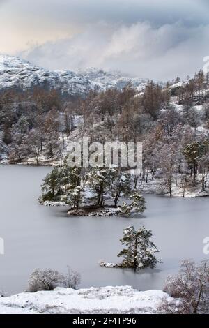 Tarn Howes frozen over in winter conditions, Lake District, UK, looking ...