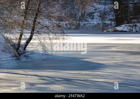 Misty conditions at Tarn Howes frozen over in winter, Lake District, UK ...