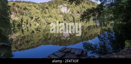 lake congro sao miguel azores Lagoon Congro (Lagoa do Congro Stock ...
