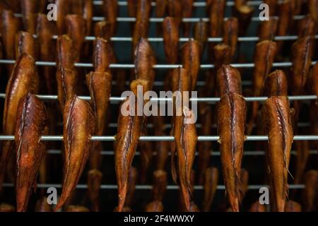 Smoked fish production concept: smoking sea bass fish in smokehouse box ...