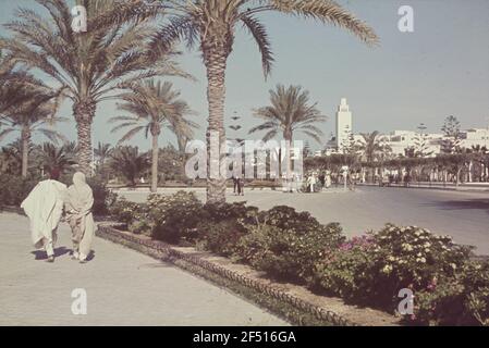 africa, libya, tripoli, landscape with the park prince umberto, 1930-40 ...