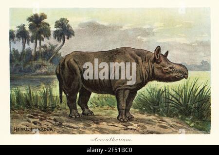 Prehistoric, Miocene Landscape Stock Photo - Alamy