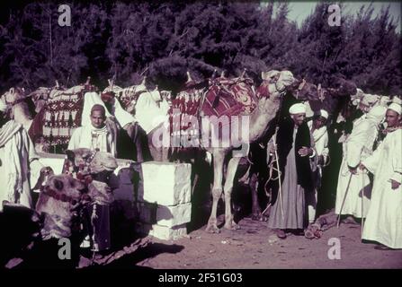 Travel photos Egypt. Camel leader in the desert Stock Photo - Alamy