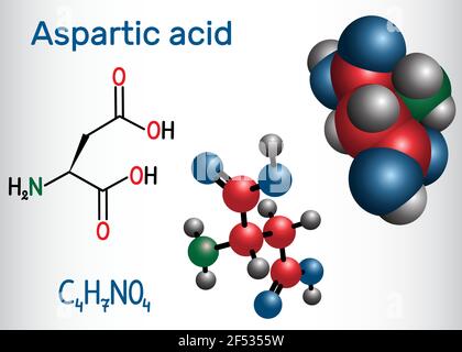 Aspartic acid (L-aspartic acid, Asp, D) amino acid molecule. Skeletal ...