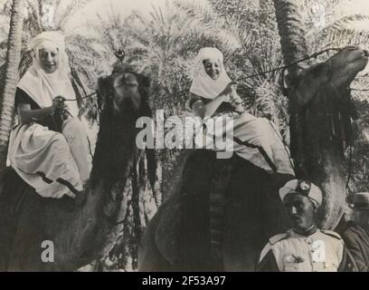 Libya, oasis city of Ghadames. Operating Berbfrauen on camels Stock ...