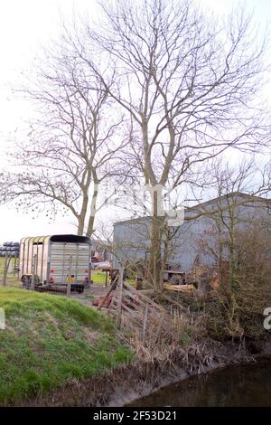 Untidy farm yard Stock Photo - Alamy