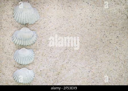 Starfish on sand - side view Stock Photo - Alamy