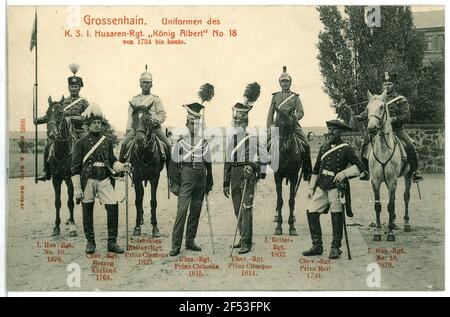 Uniforms of the Royal Saxon Hussar Regiment Großenhain. Uniforms d ...