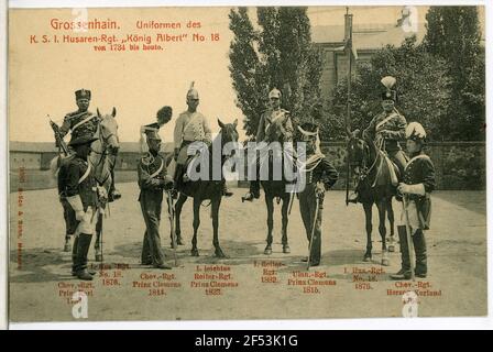 Uniforms of the Royal Saxon Hussar Regiment Großenhain. Uniforms d ...