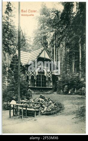 Bad Elster. Forest source Stock Photo - Alamy