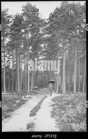 middle way Narrow wit. middle way Stock Photo - Alamy