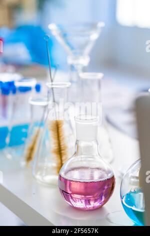 Laboratory equipment containing pink liquid decorated with fresh ...