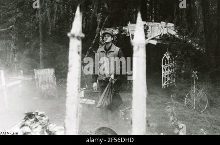 PET SEMATARY PARAMOUNT PICTURES STEPHEN KING PET SEMATARY PARAMOUNT ...