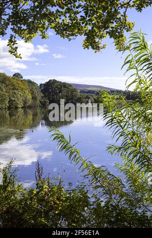 Talkin Tarn, Cumbria Stock Photo - Alamy
