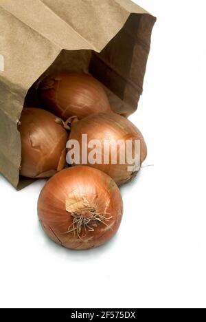 Fresh onions in package, isolated on white background Stock Photo - Alamy