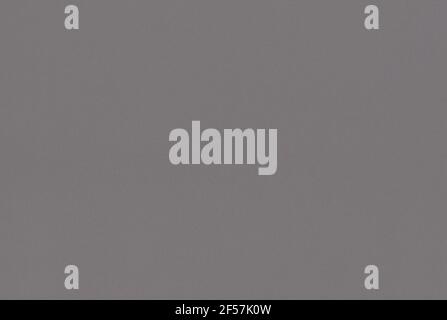 100 Asa Color film grain textured background Stock Photo - Alamy