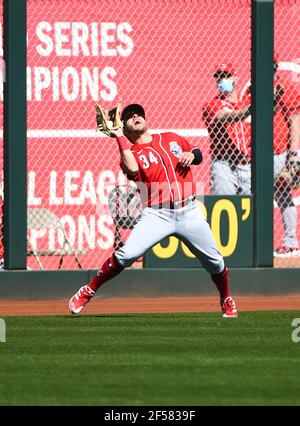 Cincinnati Reds' Mark D. Payton in action during a spring training ...