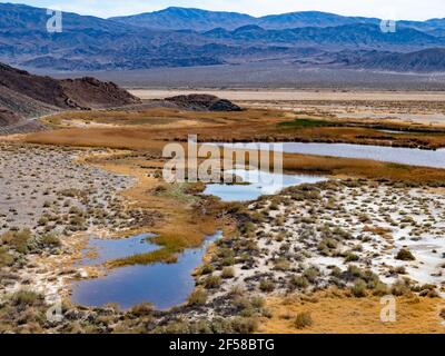 The Saratoga Springs home to an endemic Saratoga springs pupfish, in ...