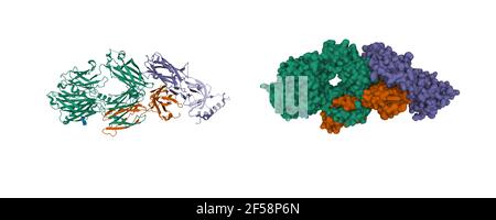 Serine molecule structure 3d illustration with clipping path Stock ...
