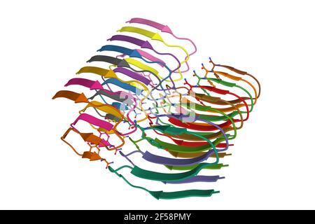Amyloid beta protein. Molecular model showing the structure of amyloid ...