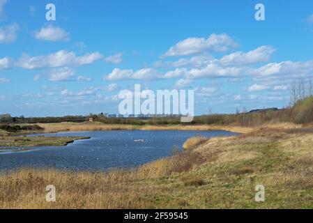 North Cave Wetlands nature reserve, East Yorkshire, England UK Stock ...