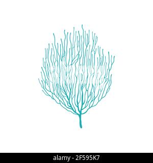Blue bubble tip anemone isolated soft coral icon. Vector seaweed ...