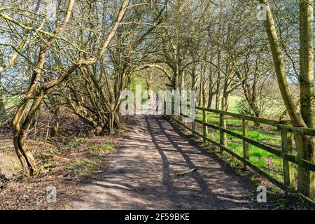 A path leading to Moat Mount Open Space in Mill Hill, London UK Stock ...