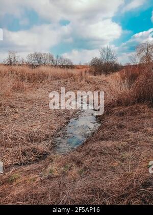 dry swamp. The swamp has dried up Stock Photo - Alamy