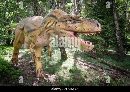 A dangerous hunter in the woods: Lifesize model of a Carnotaurus Stock ...