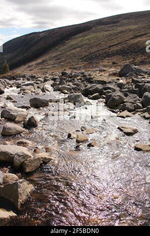 Impressionen aus dem Osten Irlands Stock Photo - Alamy
