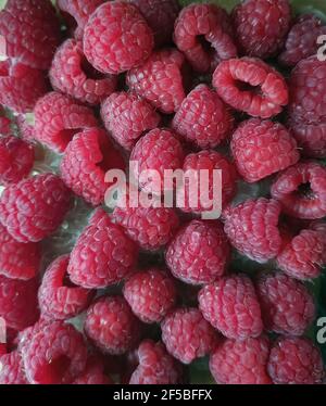 Ripe rasberry fruit horizontal close up background Stock Photo - Alamy