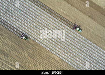 The cotton field in Xinjiang Stock Photo - Alamy