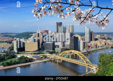 Spring in Pittsburgh city, Pennsylvania. Pittsburgh skyline with cherry ...