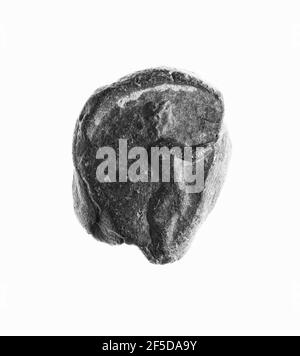 Black clay seal. Unknown Stock Photo - Alamy