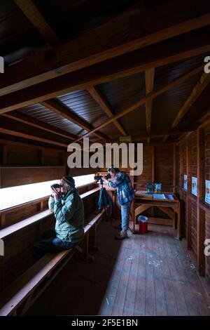 Birdwatching, Riet Vell Ecological Rice Farming, The Ebre Delta, The ...