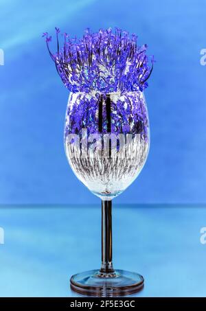 Cress sprouts. A symbol of new life, energy, health. and the coming of ...