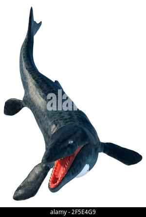 Mosasaurus isolated on a white background Stock Photo - Alamy