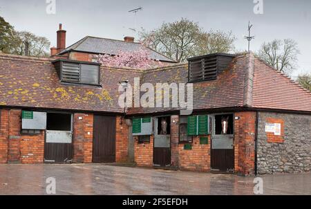Paul Nicholls horse training stables in Ditcheat, Somerset Stock Photo ...