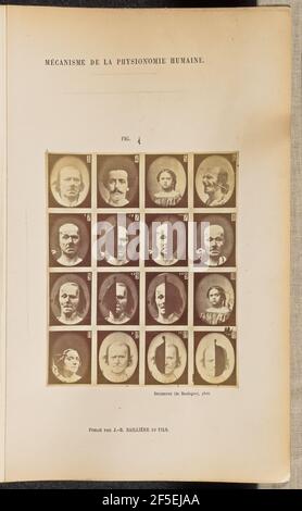 Tableau Synoptique (Fig. 4 Stock Photo - Alamy