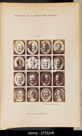 Tableau Synoptique (Fig. 3 Stock Photo - Alamy