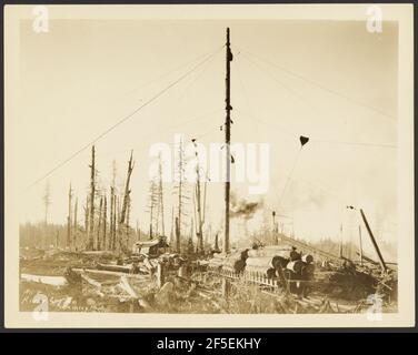 Logging/ Timber Scene. Darius Kinsey (American, 1869 - 1945 Stock Photo ...