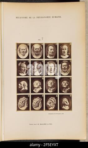 Tableau Synoptique (Fig. 6 Stock Photo - Alamy