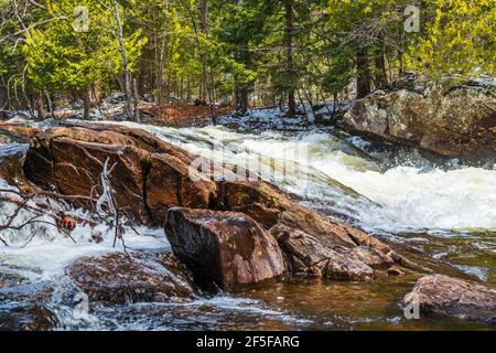 Oxtongue Rapids Conservation area Dwight Ontario Canada in winter Stock ...