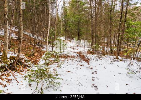 Oxtongue Rapids Conservation area Dwight Ontario Canada in winter Stock ...