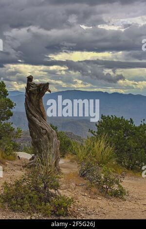 Windy Point scenic overlook along the Mt Lemmon Catalina Scenic Byway ...